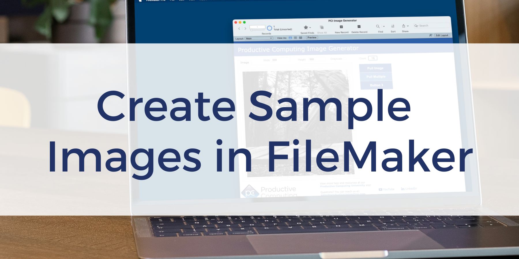 How to generate sample images in FileMaker